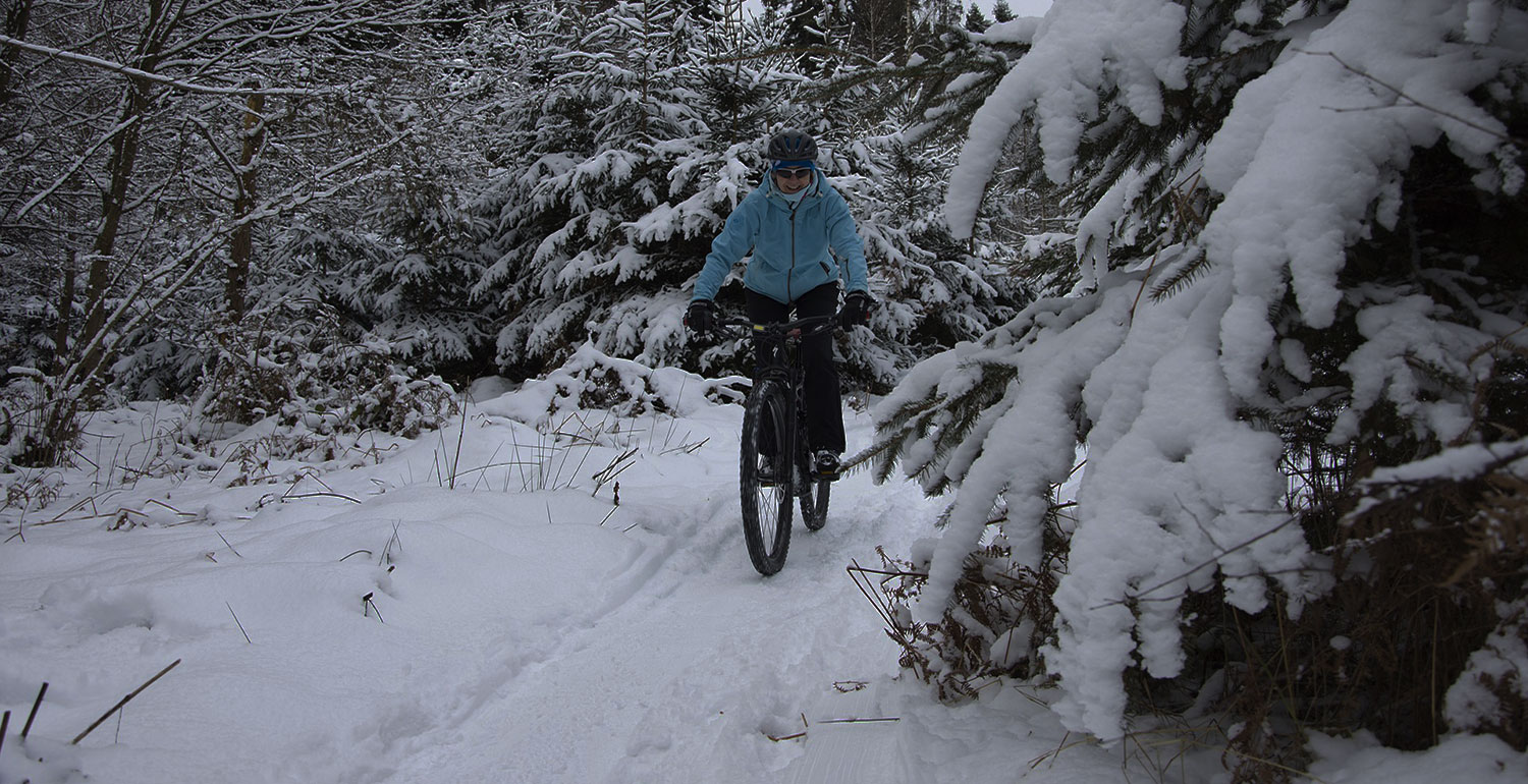 Life on Wheels Cycle Shop, eBike Specialists in Holywell North Wales.